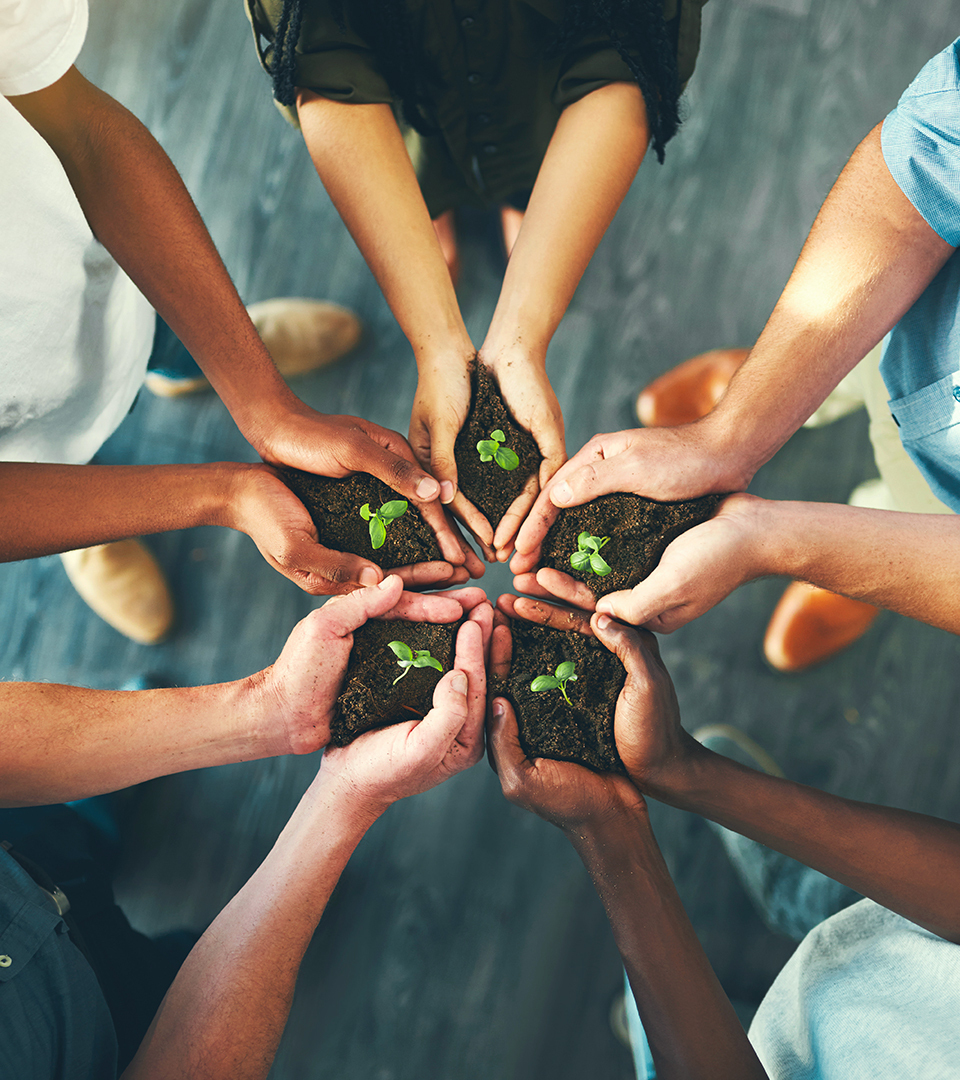 Dispeo | logistic provider e-commerce, BtoB et BtoC